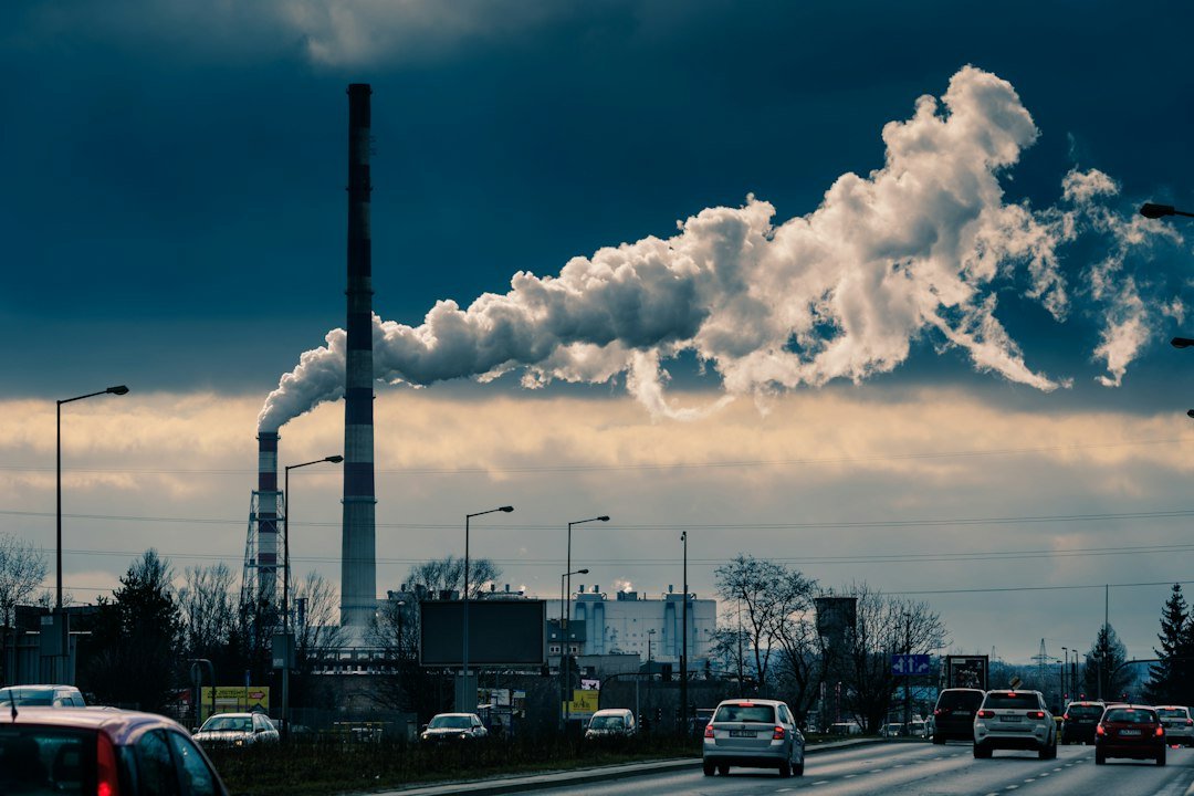 The Nose Knows: Understanding the Impact of Air Pollution on Nasal Hea ...
